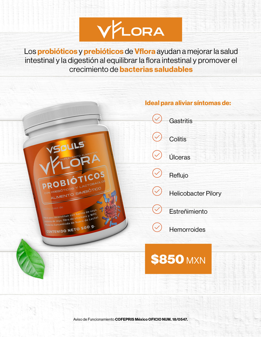 VFlora Vsouls: Probióticos y Prebióticos para una Digestión Óptima y B ...